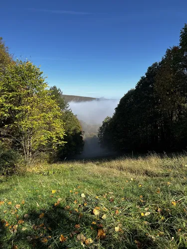 10 Best Hikes and Trails in Mecsek Natural Reserve Area | AllTrails