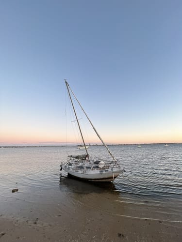 Best Hikes and Trails in Matilda Bay Reserve | AllTrails