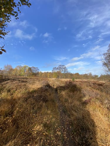 2023 Best 10 Trails, Walks, and Paths in Harrogate | AllTrails