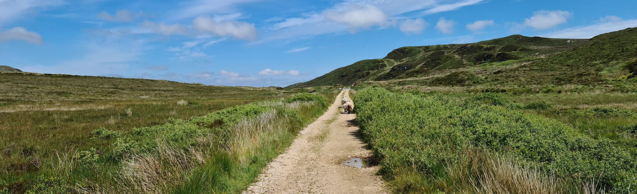 Falcarragh and Lough Agher Loop: 17 fotos - Condado de Donegal, Irlanda ...