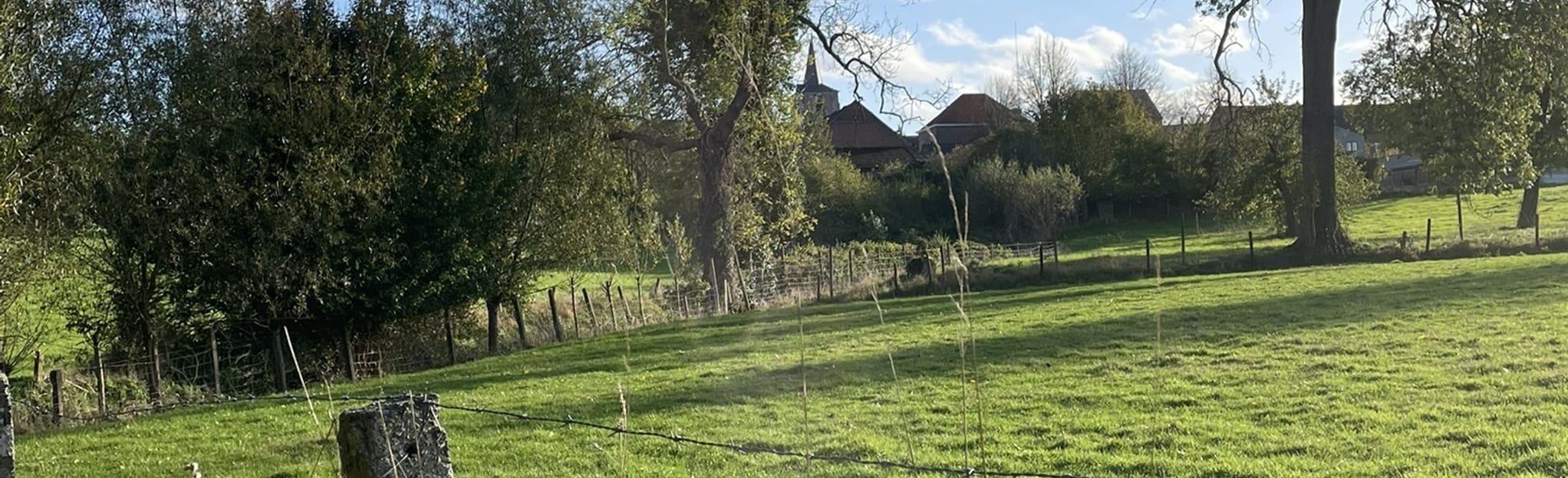 Geboorteboomgaard Pepingen: 5 foto's - Vlaams-Brabant, België ...