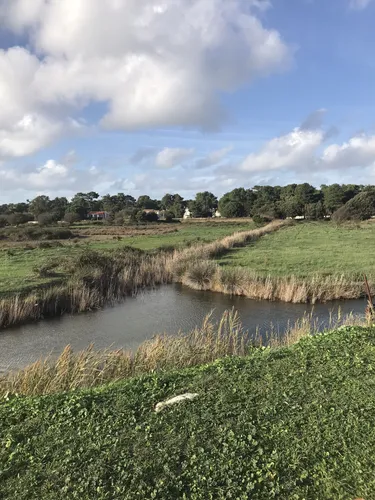 Best Hikes and Trails in Forêt domaniale de Saint-Trojan | AllTrails