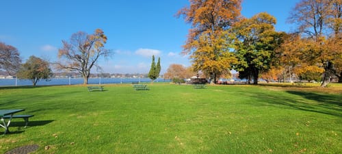 Best Hikes and Trails in Kollen Park | AllTrails