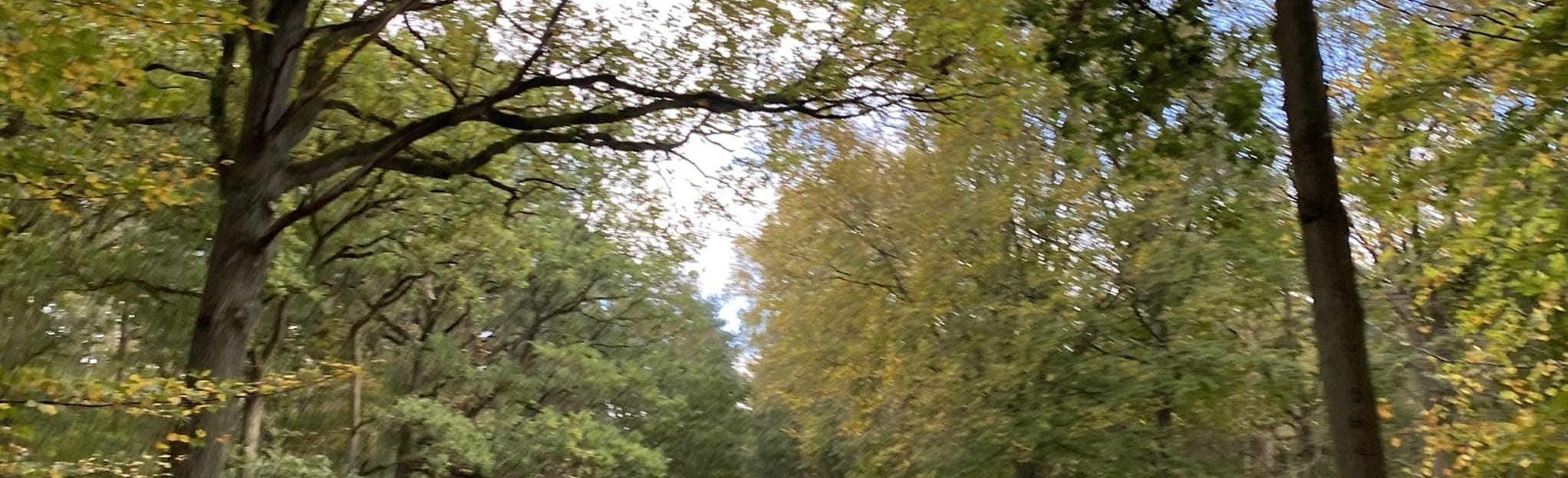 Santon Downham and Fire Road 18, Suffolk, England - 5 Reviews, Map ...