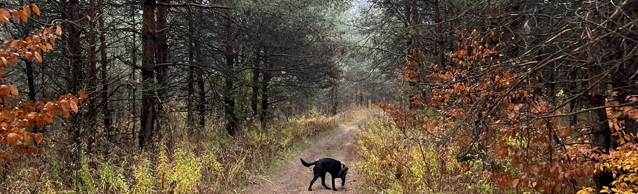 Victoria Rail Trail: Bethany to Weston Rd: 12 Reviews, Map - Ontario ...