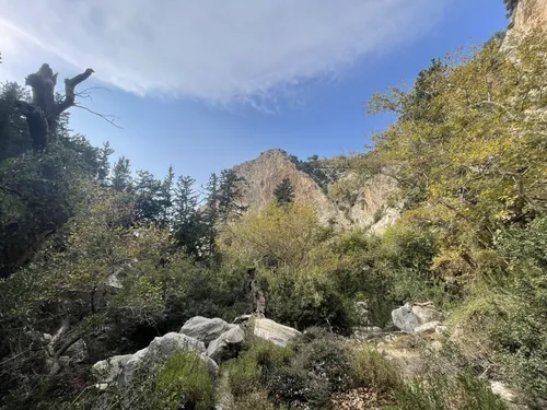 10 Best Trails and Hikes in Cyprus | AllTrails