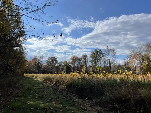 Best Hikes and Trails in Port Tobacco River Park | AllTrails