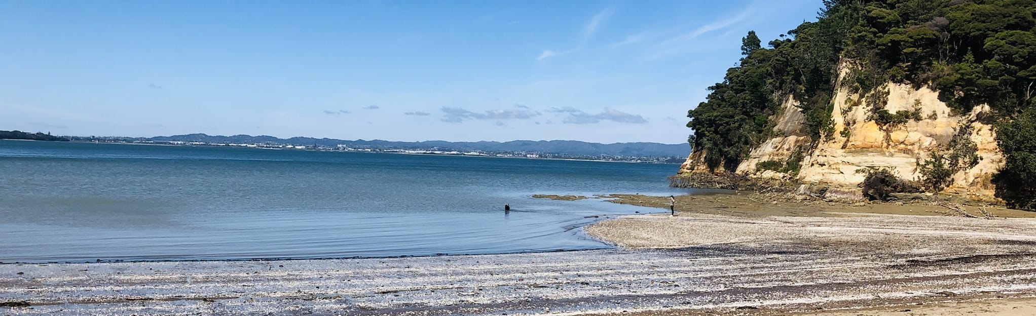 Kendall Bay Beach Loop, Auckland, New Zealand - 127 Reviews, Map ...