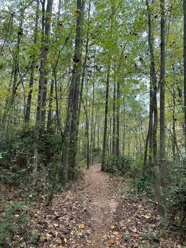 10 Best Trails and Hikes in Athens | AllTrails