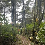 Keeha Beach via Cape Beale-Keeha Trailhead, British Columbia, Canada ...