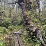 Keeha Beach via Cape Beale-Keeha Trailhead, British Columbia, Canada ...