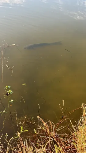 Best Lake Trails in Enigma | AllTrails