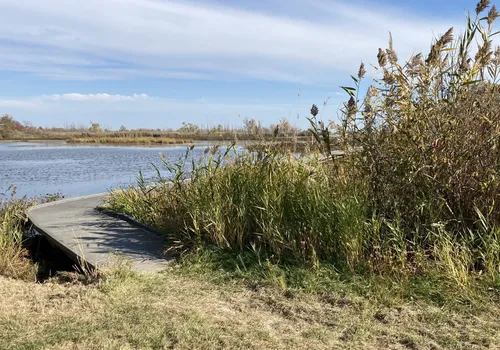 Best Hikes and Trails in Hillman Marsh Conservation Area | AllTrails
