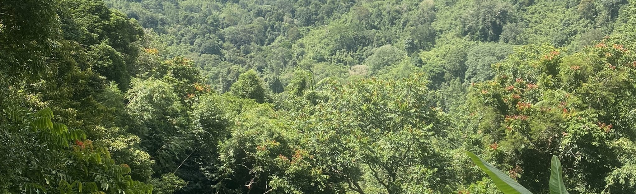 Gunung Hitam - Genting Peras: 4 Reviews, Map - Selangor, Malaysia ...