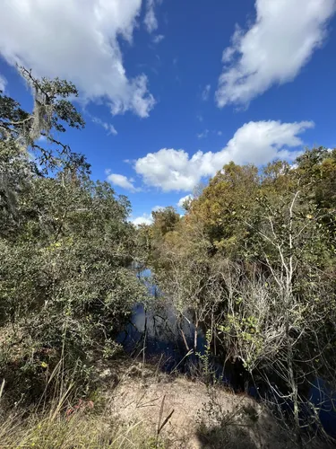 10 Best Hikes and Trails in Withlacoochee State Forest | AllTrails