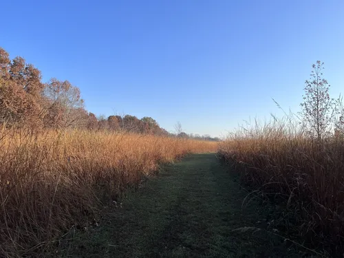 10 Best Lake Trails in Kickapoo State Park | AllTrails