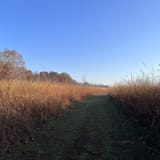 Kickapoo State Park Trail, Illinois - 131 Reviews, Map | AllTrails