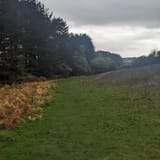 Old Bassaleg Bridge and Ebbw River Circular, Newport, Wales - 27 ...
