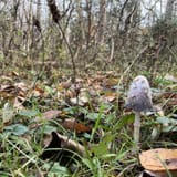 Luther Lake via Blue Trail, Ontario, Canada - 40 Reviews, Map | AllTrails