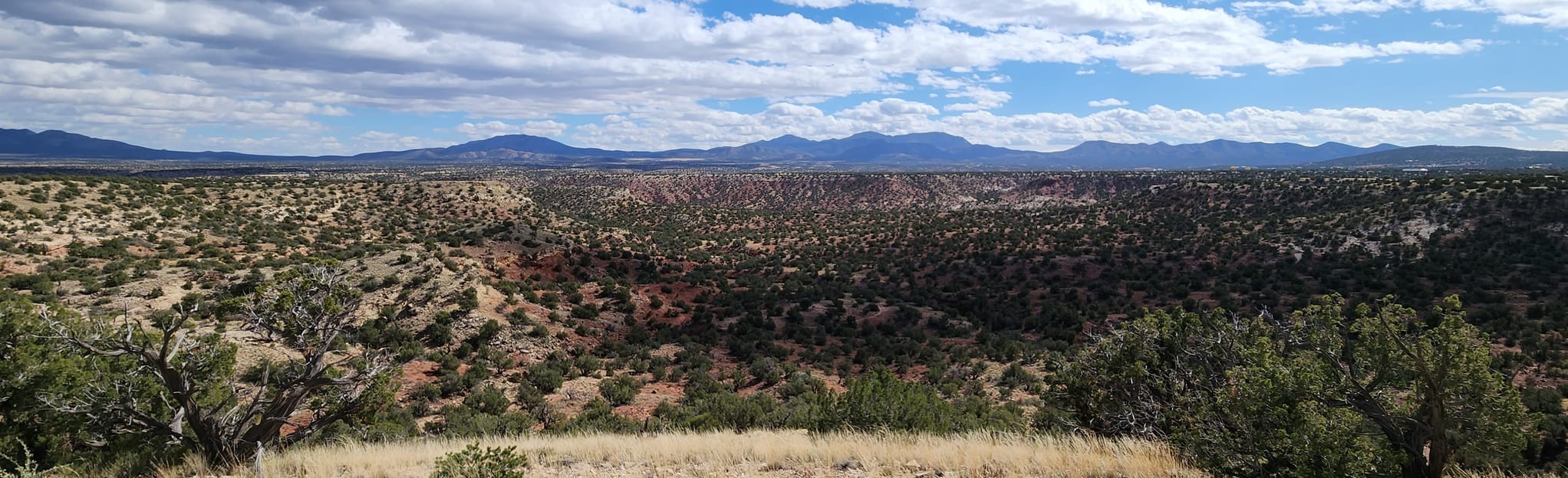 Mesa Trail Loop and Los Duendes Trail: 182 Reviews, Map - New Mexico ...