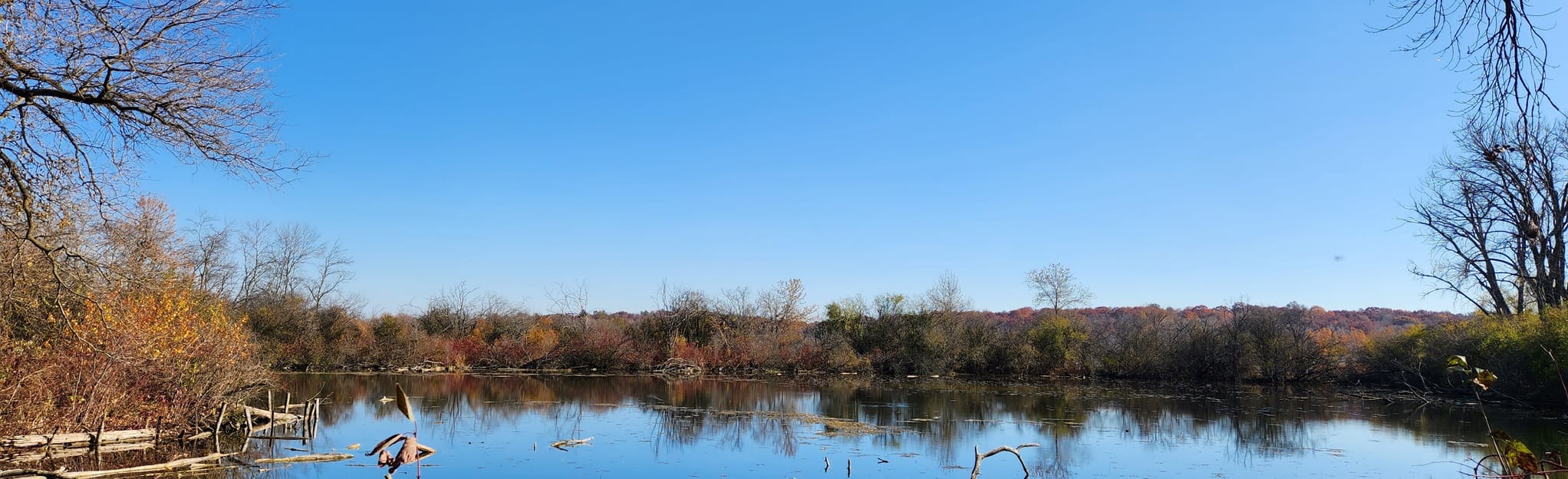 UW Arboretum Big Spring Hike: 202 Reviews, Map - Wisconsin | AllTrails
