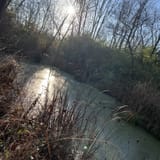 Kickapoo State Park Trail, Illinois - 117 Reviews, Map | AllTrails