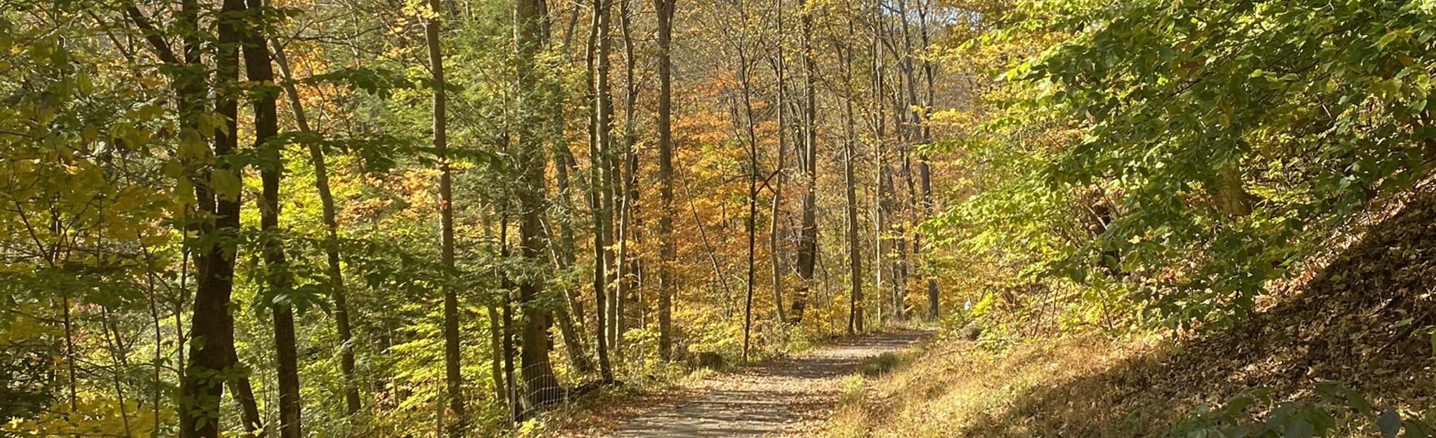 Cowanshannock Trail, Pennsylvania - 92 Reviews, Map | AllTrails