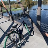 Tammany Trace Trail, Louisiana - 341 Reviews, Map | AllTrails