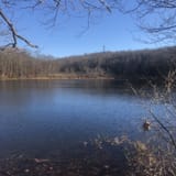 Berry Pond Trail, Massachusetts - 70 Reviews, Map | AllTrails