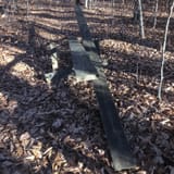 Berry Pond Trail, Massachusetts - 70 Reviews, Map | AllTrails