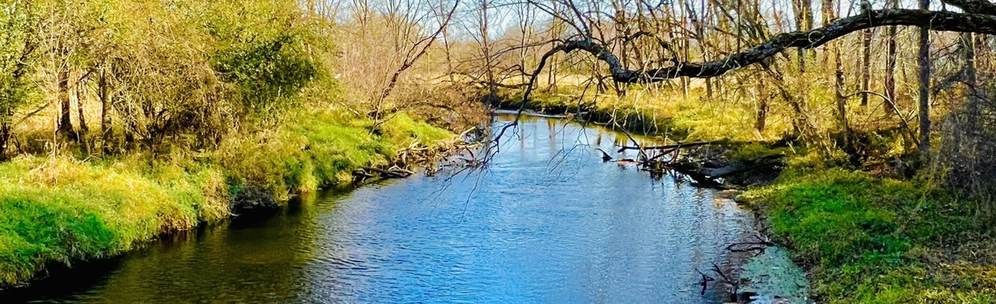 Camrock 3, Wisconsin - 74 Reviews, Map | AllTrails