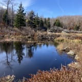 Busby Trail, Spruce Hill Lost Pond and Blackburnian Loop, Massachusetts ...