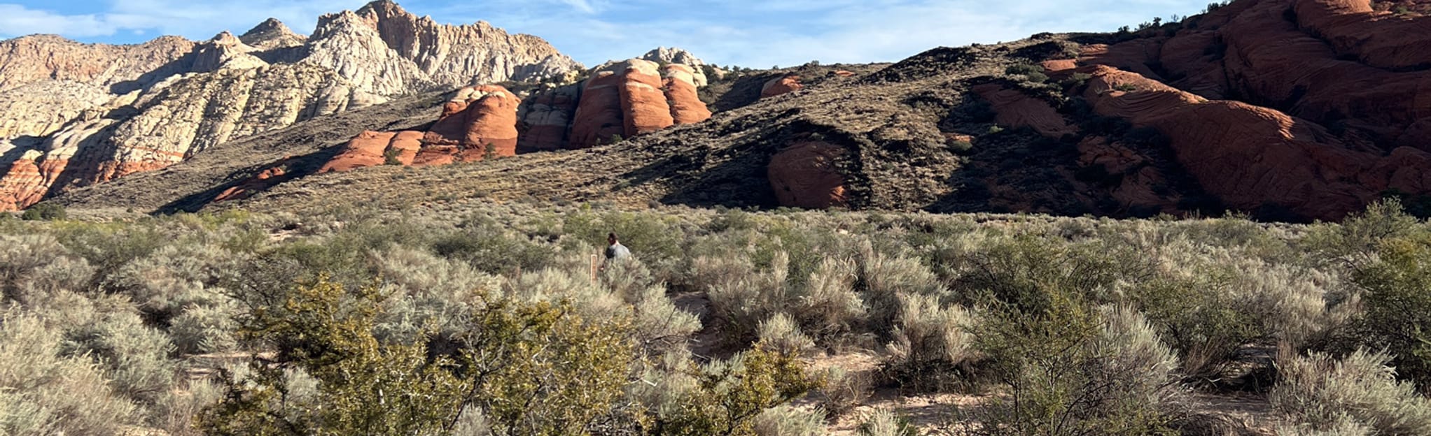 Butterfly, Lava Flow, West Canyon, Whiptail, and Petrified Dunes Loop ...