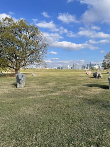 Best Hikes and Trails in Trammell Crow Park | AllTrails