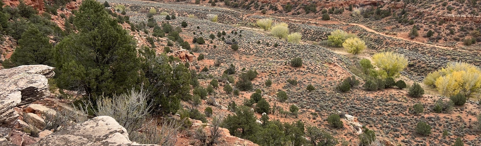 Dinosaur Tracks Trail, 354 Fotos - Utah | AllTrails