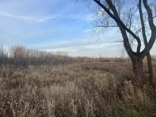 Best Hikes and Trails in Steve Michaud Park | AllTrails