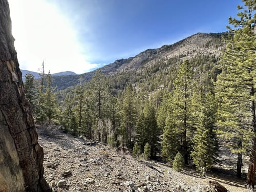 2023 Best 10 Trails and Hikes in Mount Charleston | AllTrails