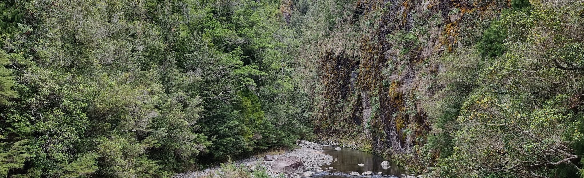 Waitawheta Hut via Waitawheta Tramway Track: 77 Reviews, Map - Waikato ...