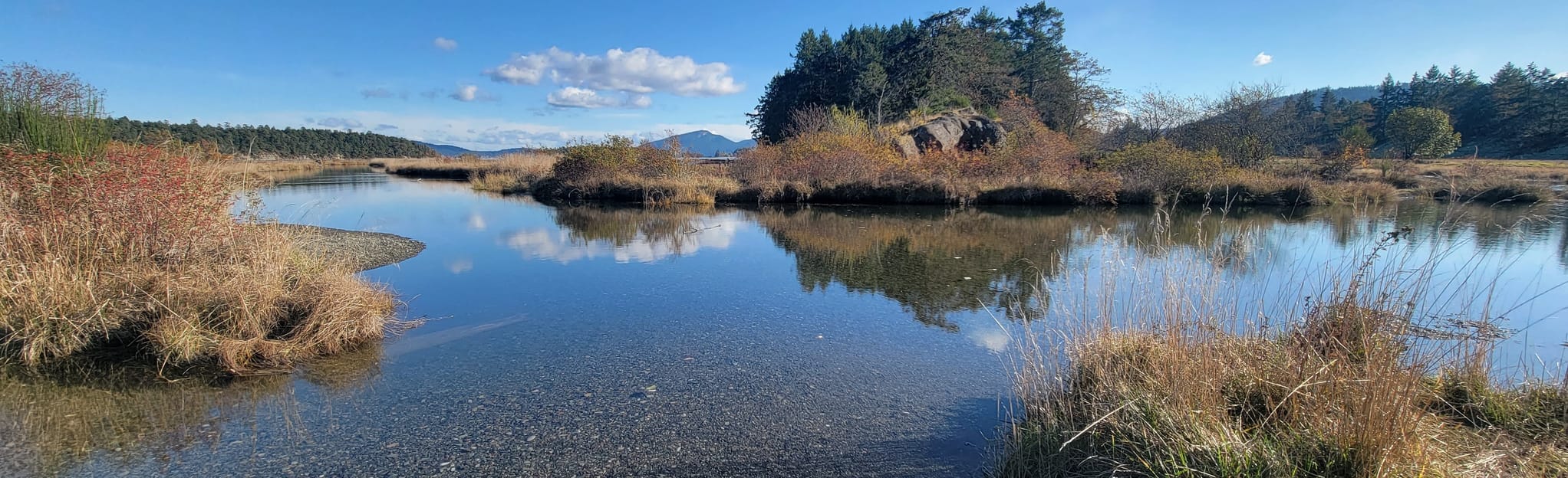 Chemainus River Estuary - British Columbia, Canada | AllTrails