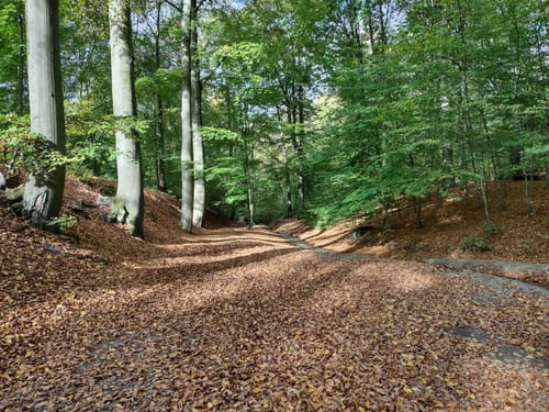 2023 Best 10 Waterfall Trails in Netherlands | AllTrails