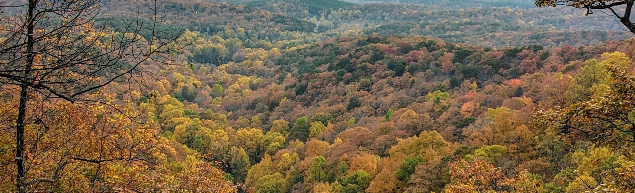 Appalachian Approach Trail: 925 Reviews, Map - Georgia | AllTrails