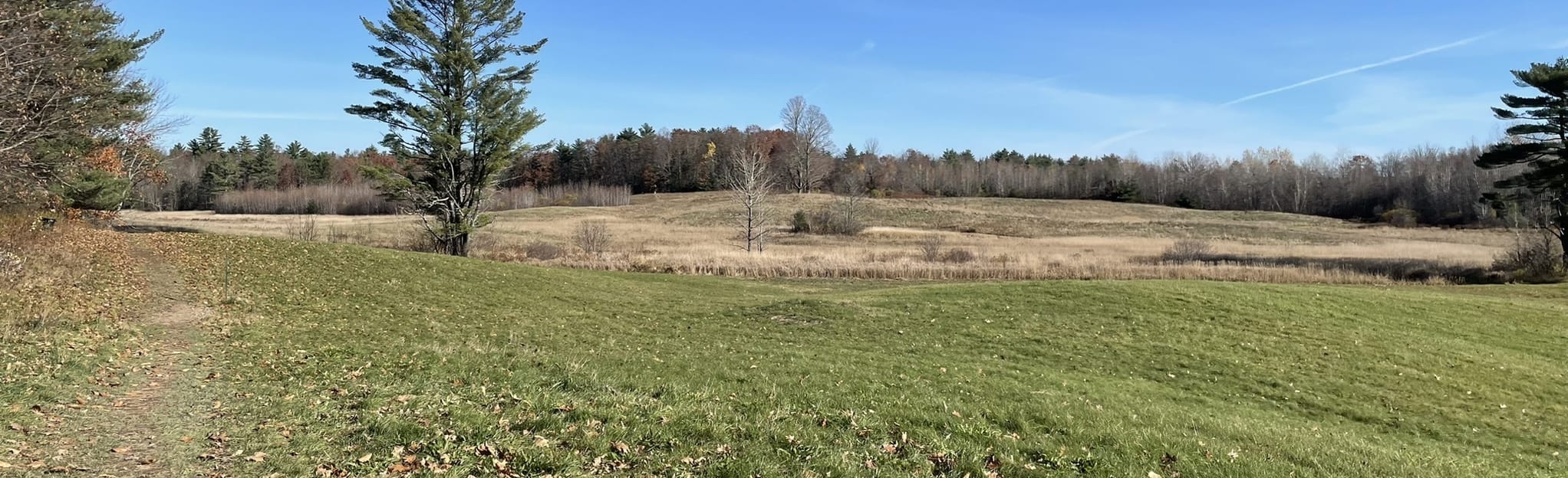 Hayfield, Maine, and Waterfall Trails: 57 Reviews, Map - Maine | AllTrails