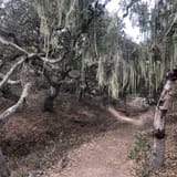 Crespi Trail, California - 224 Reviews, Map | AllTrails