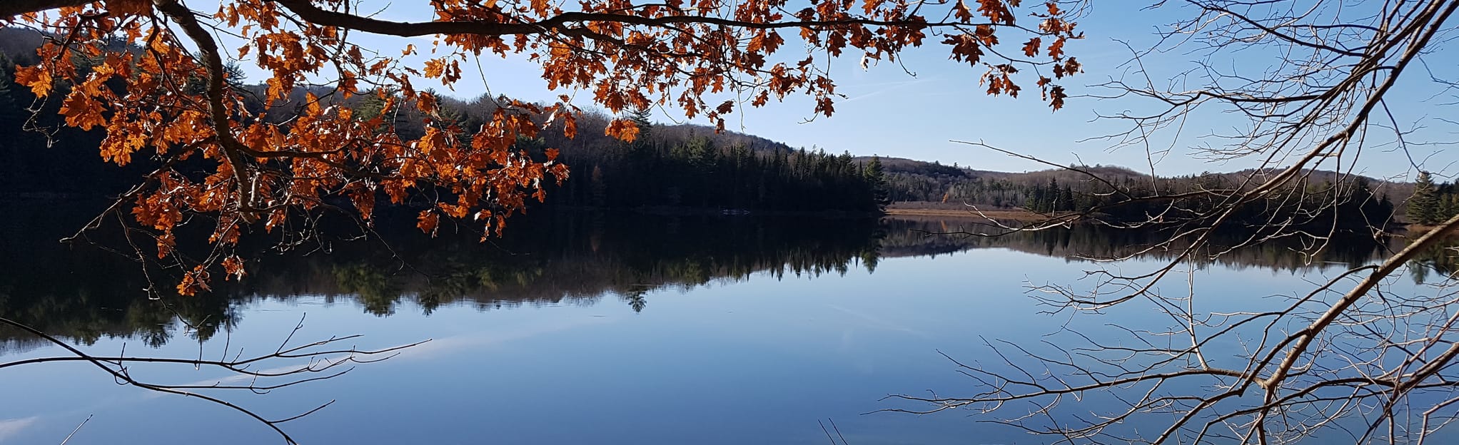 Brown Lake: 161 Reviews, Map - Quebec, Canada | AllTrails