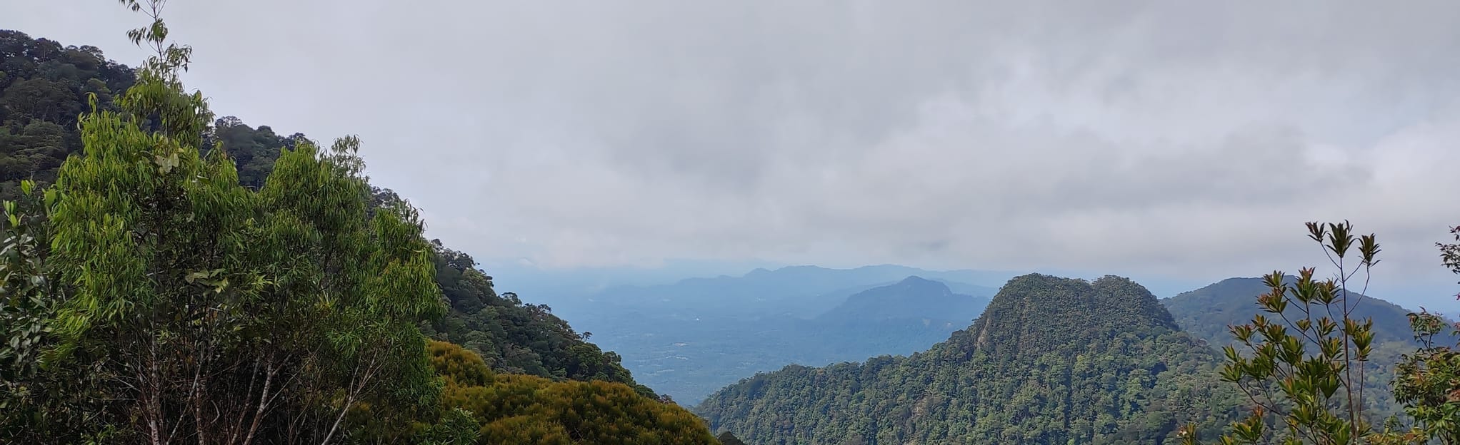 Gunung Serapi: 43 Reviews, Map - Sarawak, Malaysia | AllTrails
