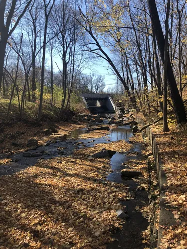 Best Hikes and Trails in T.R. Proctor Park | AllTrails