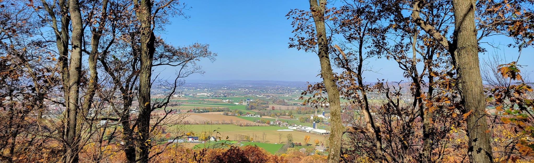 Cockscomb, Welsh Mountian and Green Connector Trail, Pennsylvania - 146 ...