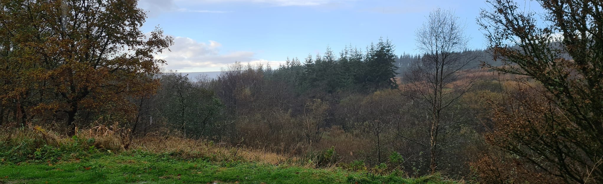 Priest Hill Viewpoint Trail, Scottish Borders, Scotland - 5 Reviews ...