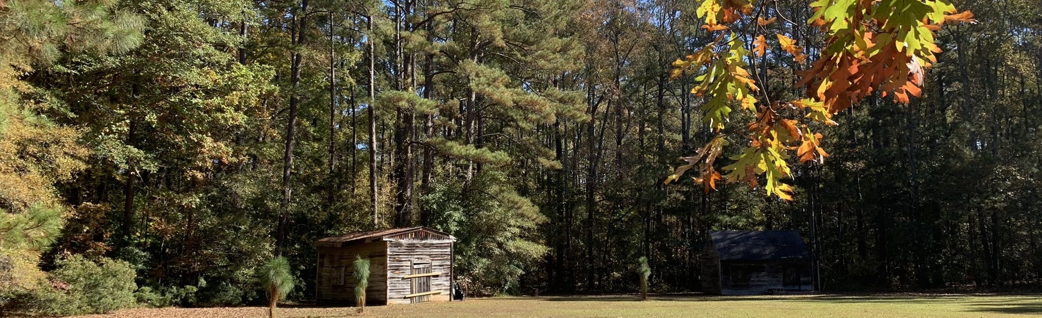 Clark Park Laurel, Wetlands, and Laurel Loop | Map, Guide - North ...