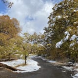 Red Butte Gardens Small Loop, Utah - 289 Reviews, Map | AllTrails